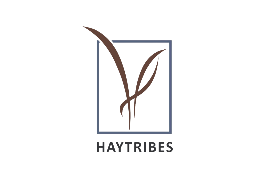 BILAAD DEVELOPMENT TRUST – ‘The Future in Perspective’